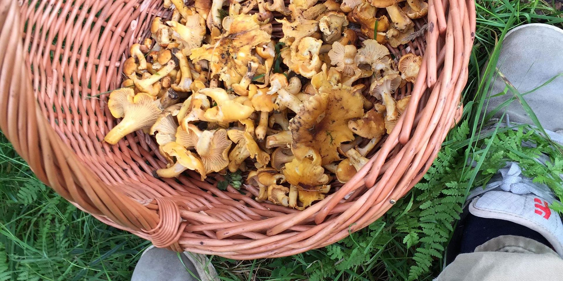 Tips From A Keen Food Forager