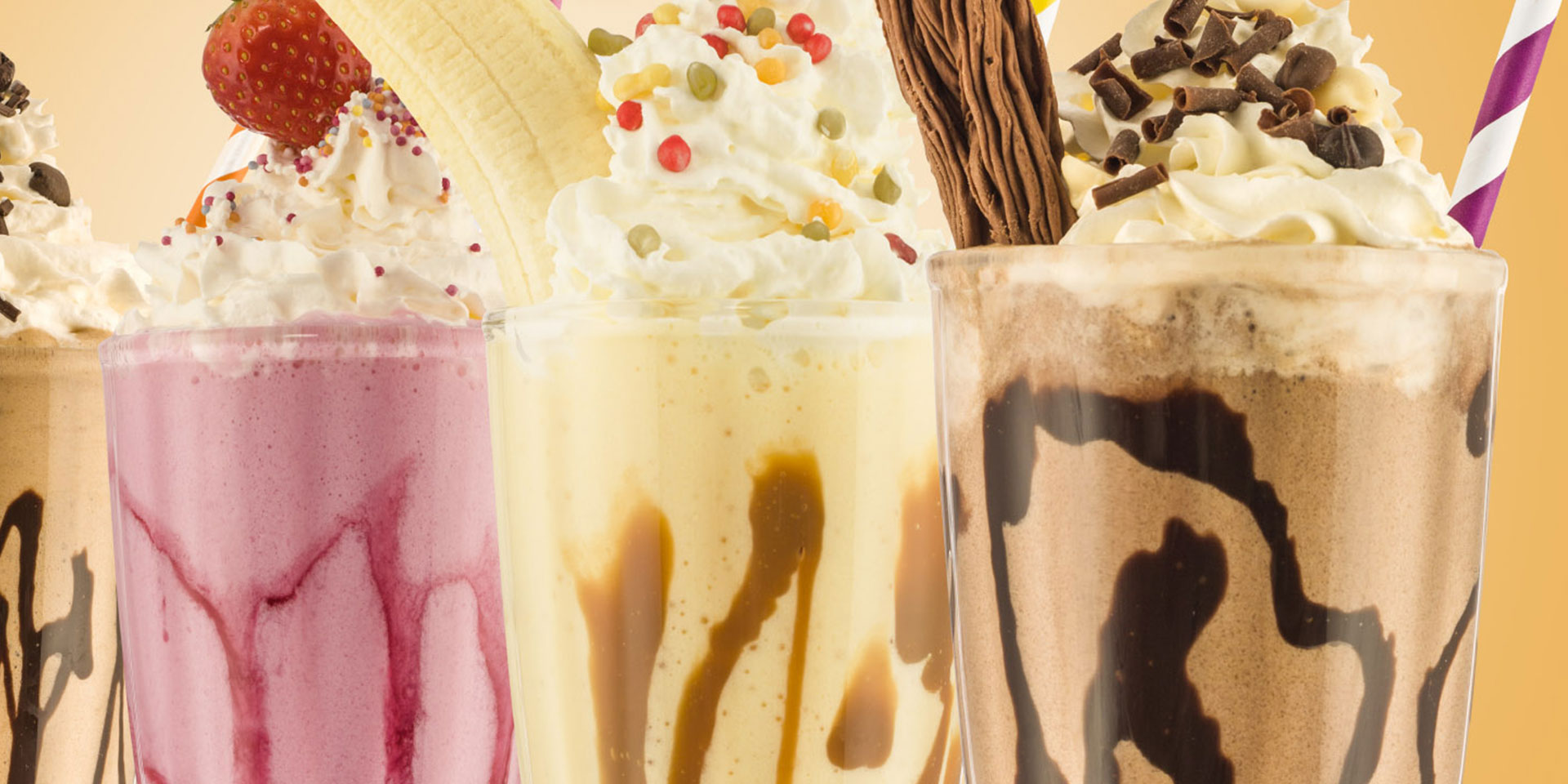 Shmoo - A Startup Story